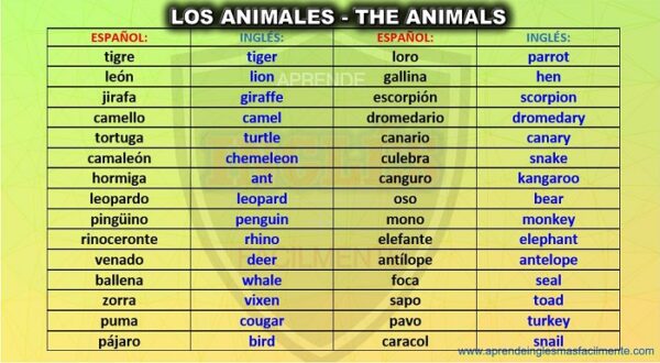 The animals – Los animales – Aprende Inglés Más Fácilmente
